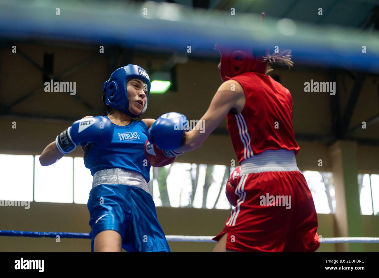 Women Boxing Referee High Resolution Stock Photography and Images - Alamy
