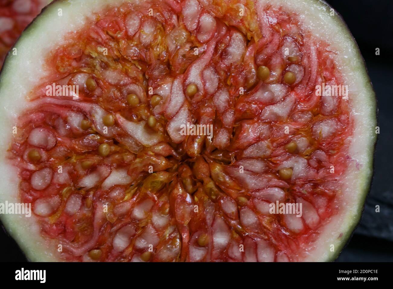 Macro closeup of isolated fresh ripe sliced half fig fruit Stock Photo ...