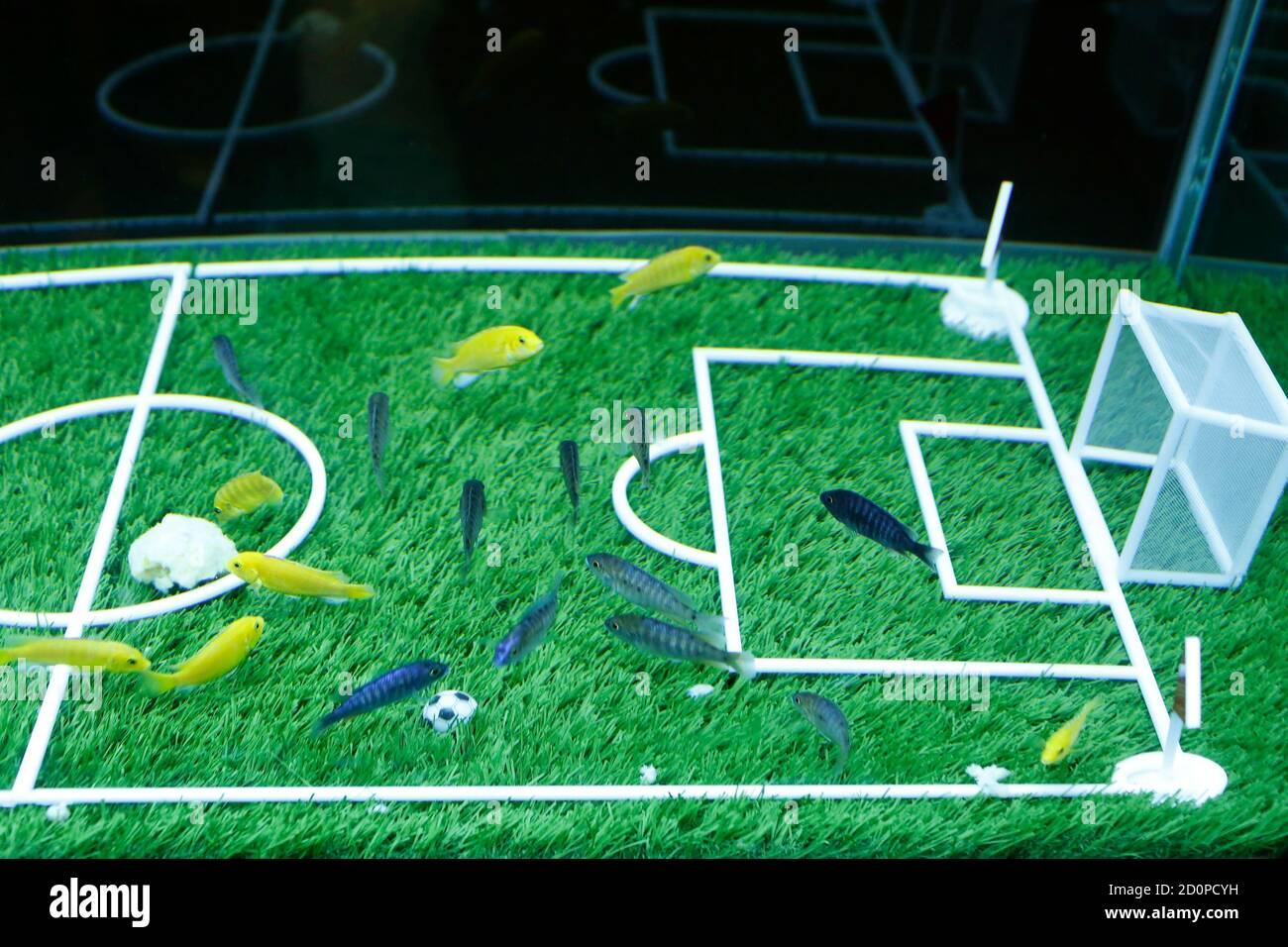 Mini world cup hi-res stock photography and images - Alamy