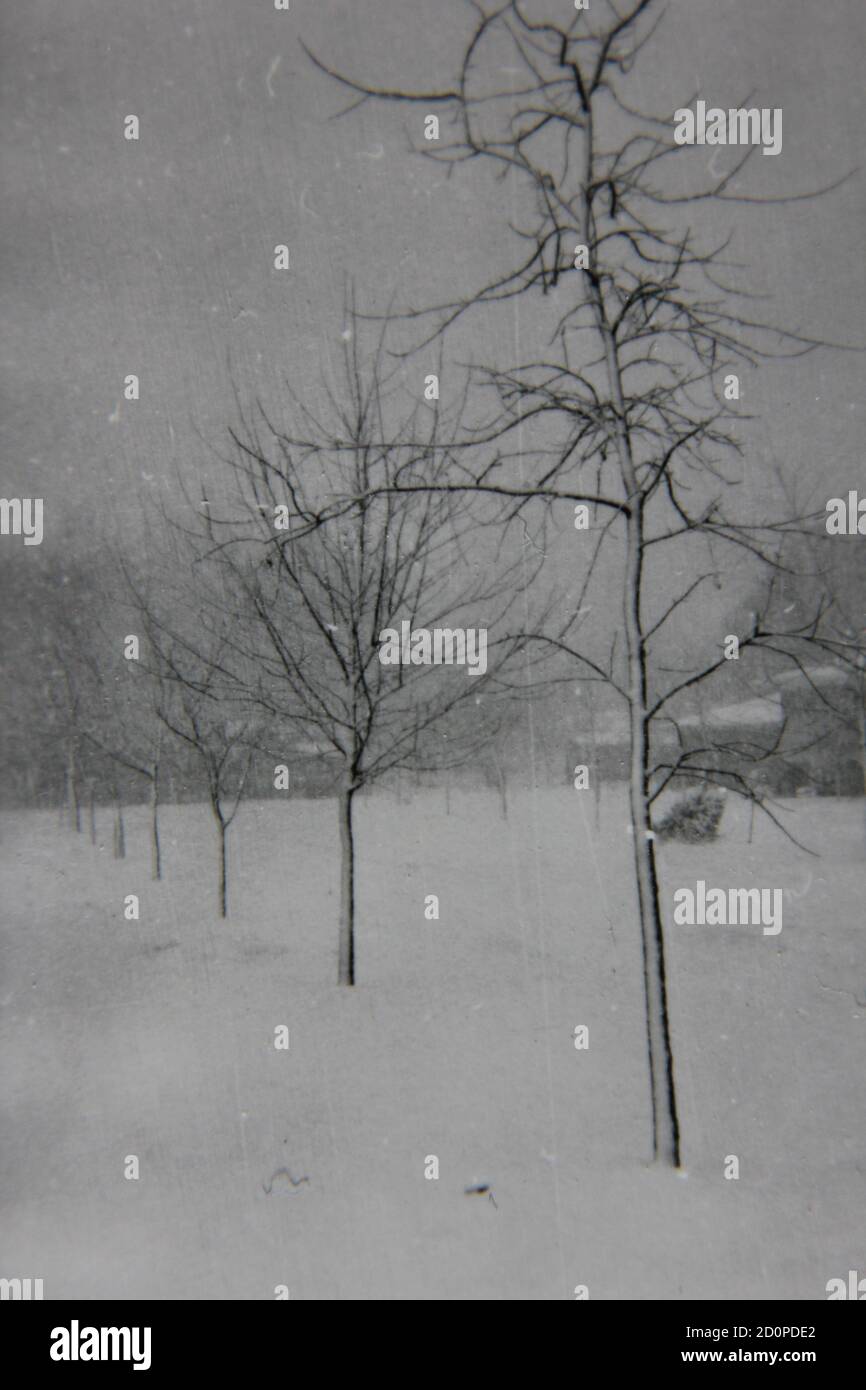 Fine 1970s vintage black and white photography of a snow storm swarming ...