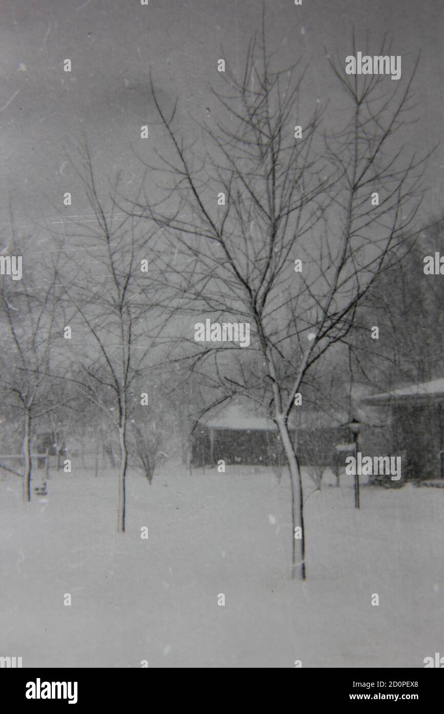 Fine 1970s vintage black and white photography of a snow storm swarming ...