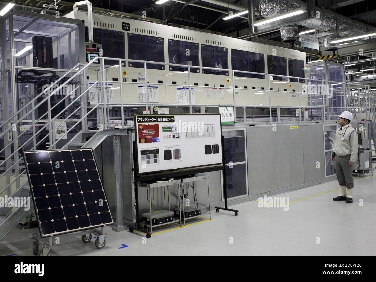 Sharp sakai plant hi-res stock photography and images - Alamy