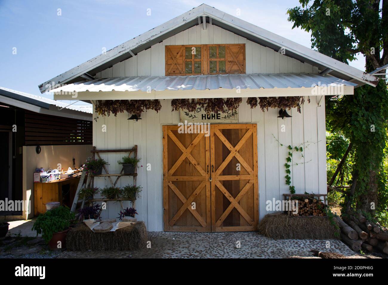 Barn wood or wooden cottage in vegetable garden farm at countryside ...