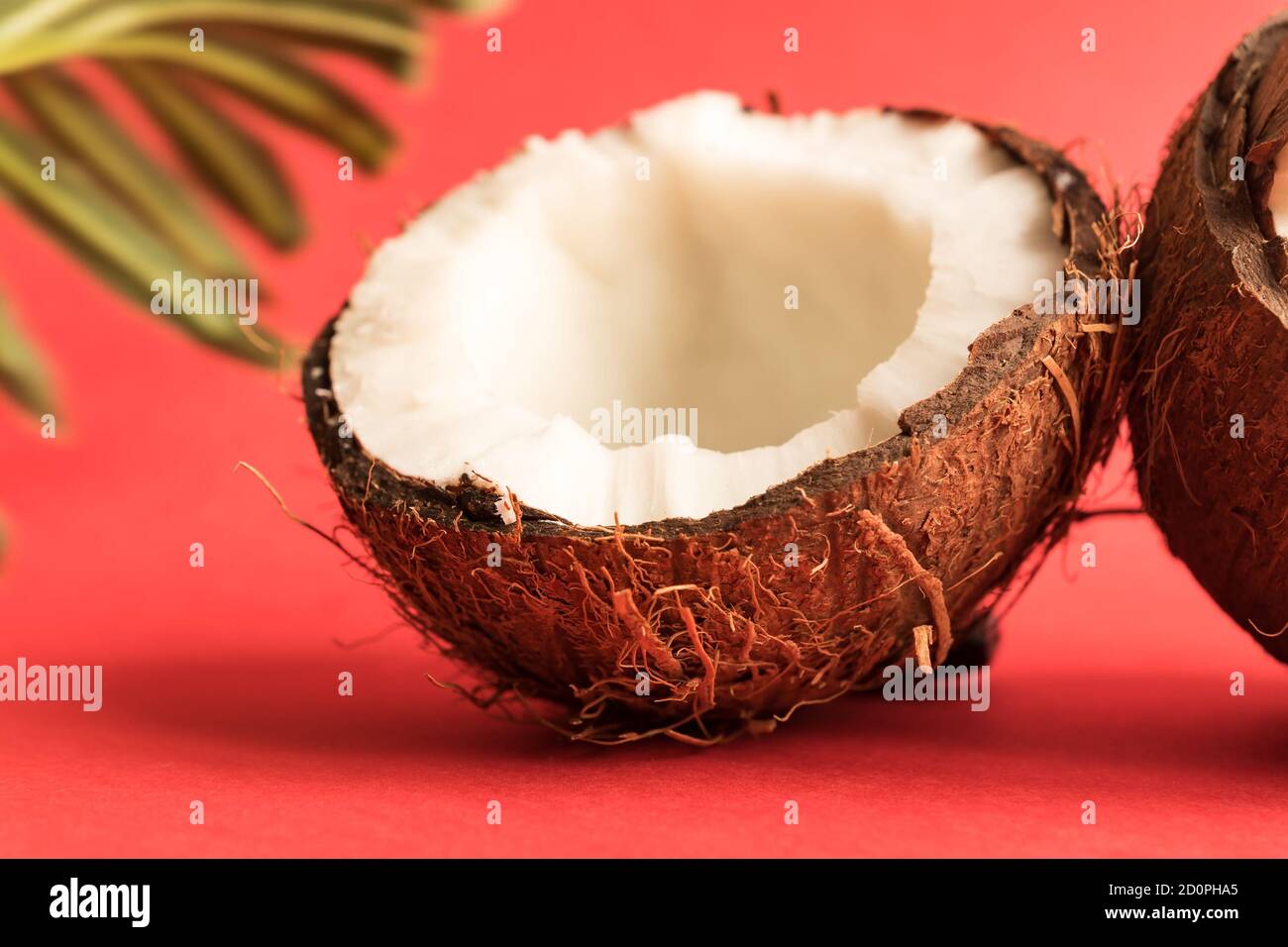 Half of fresh raw coconut on red backgound Stock Photo - Alamy