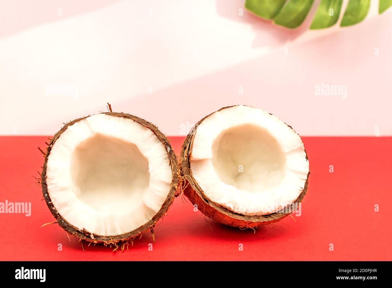 Two halves of fresh raw coconut on red backgound with light shadows in ...