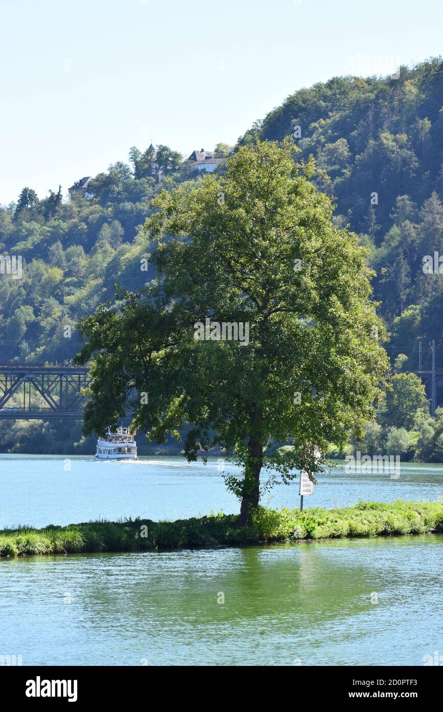 tree in the river Stock Photo - Alamy