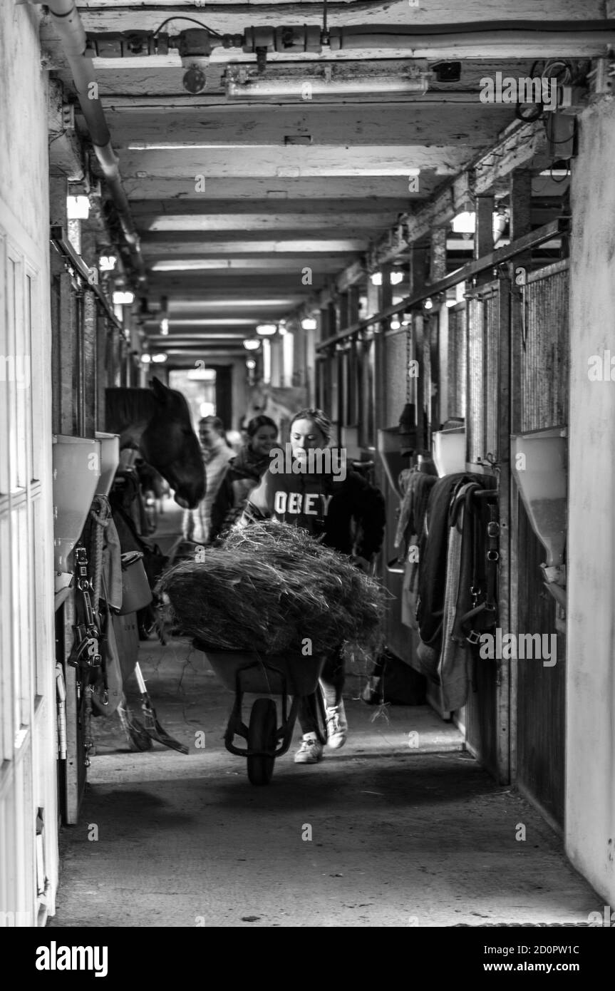 Hay stable Black and White Stock Photos & Images - Alamy