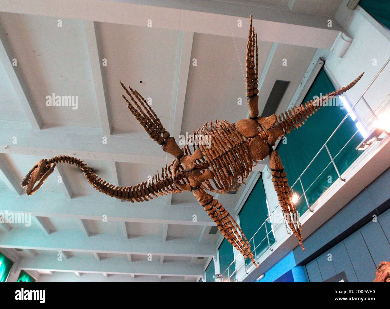 Originally from argentina hi-res stock photography and images - Alamy