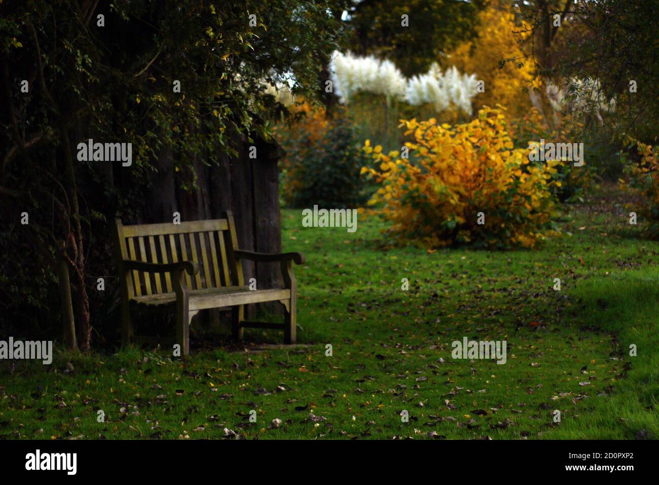 Secret garden bench hi-res stock photography and images - Alamy