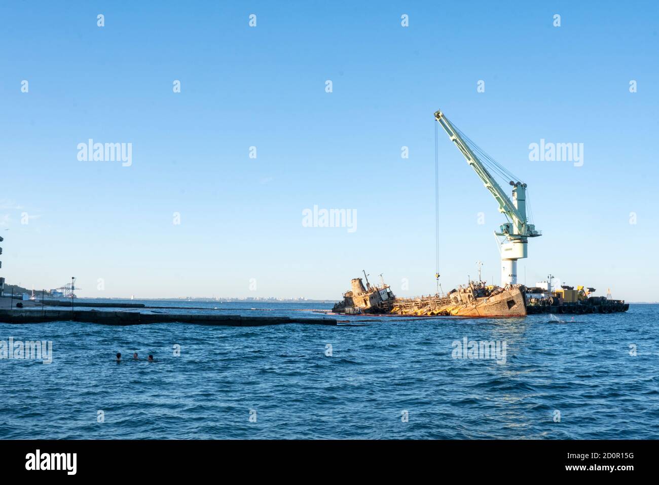 Marine pollution dolphin hi-res stock photography and images - Alamy