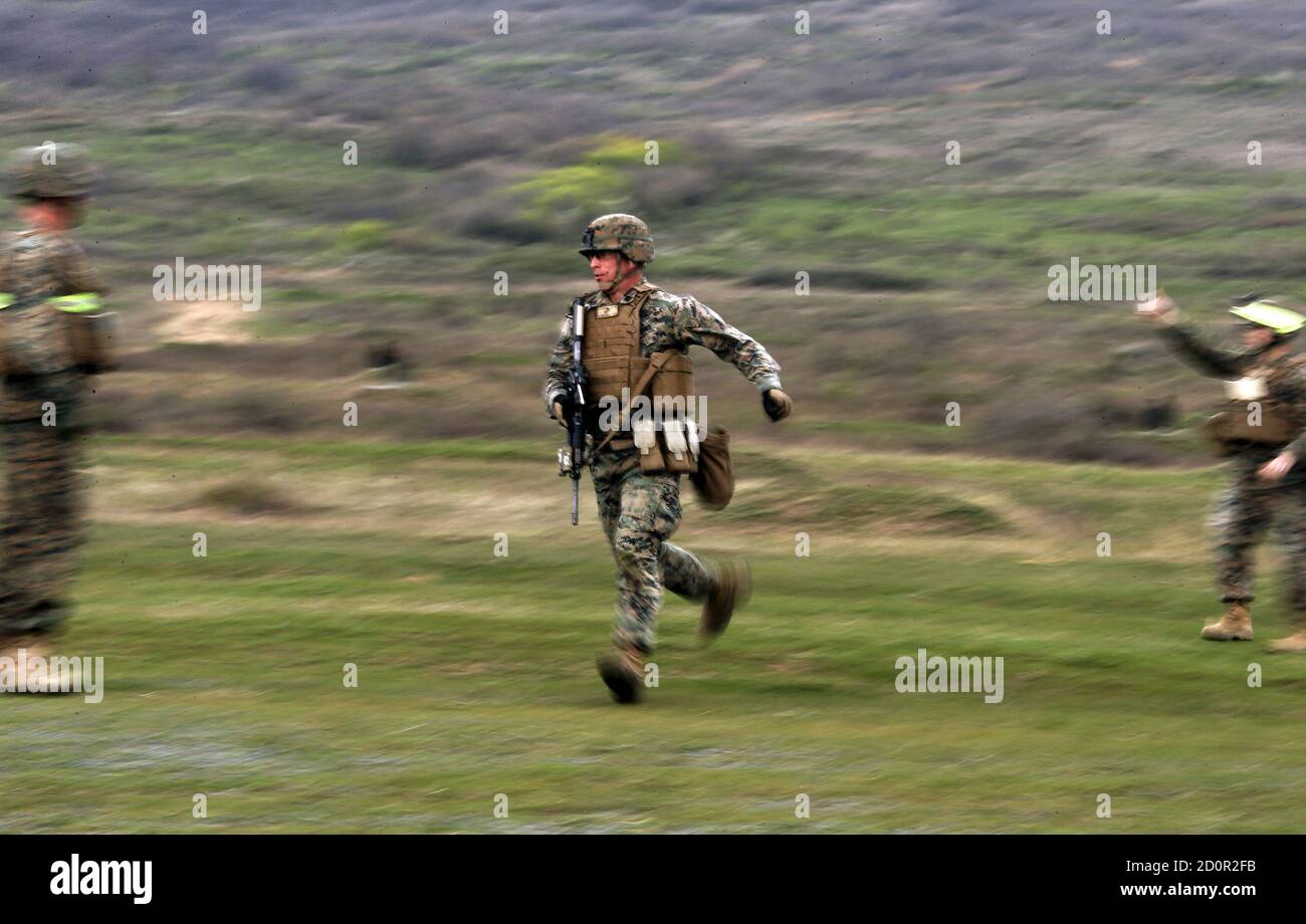 Platinum lion 15 hi-res stock photography and images - Alamy