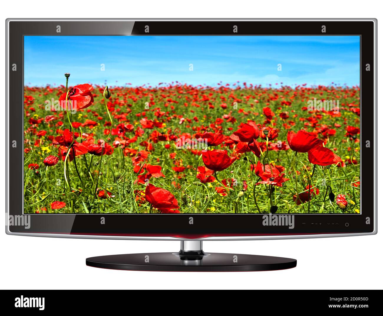 TV flat screen lcd, plasma with wild flowers on screen Stock Photo - Alamy