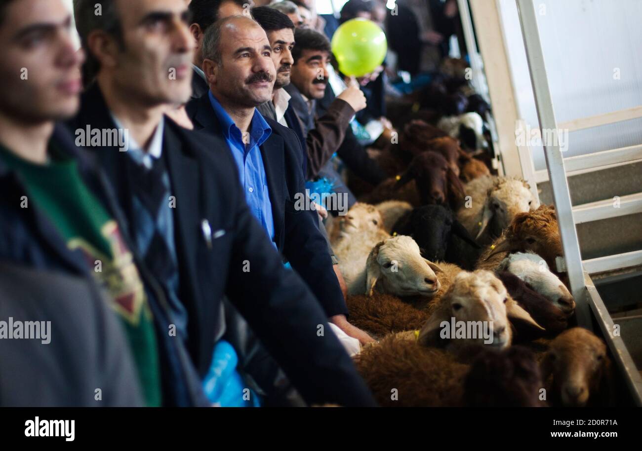 World slaughter sacrificial animals hi-res stock photography and images ...