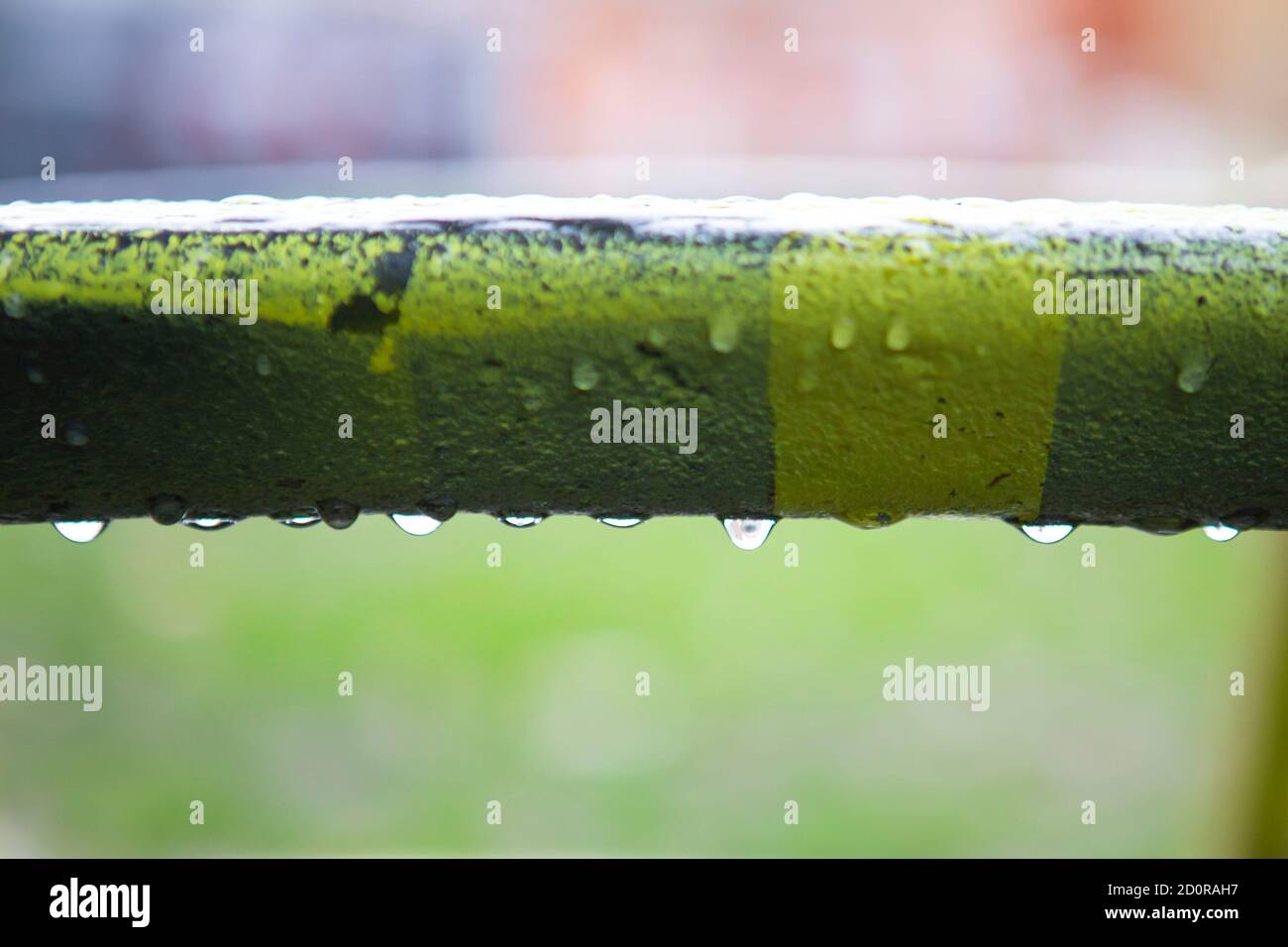 Hanging raindrops hi-res stock photography and images - Alamy