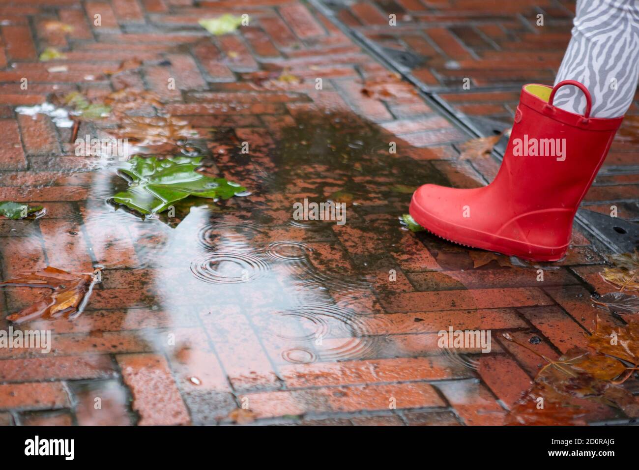 Red Wellington splashing in a puddle Stock Photo - Alamy
