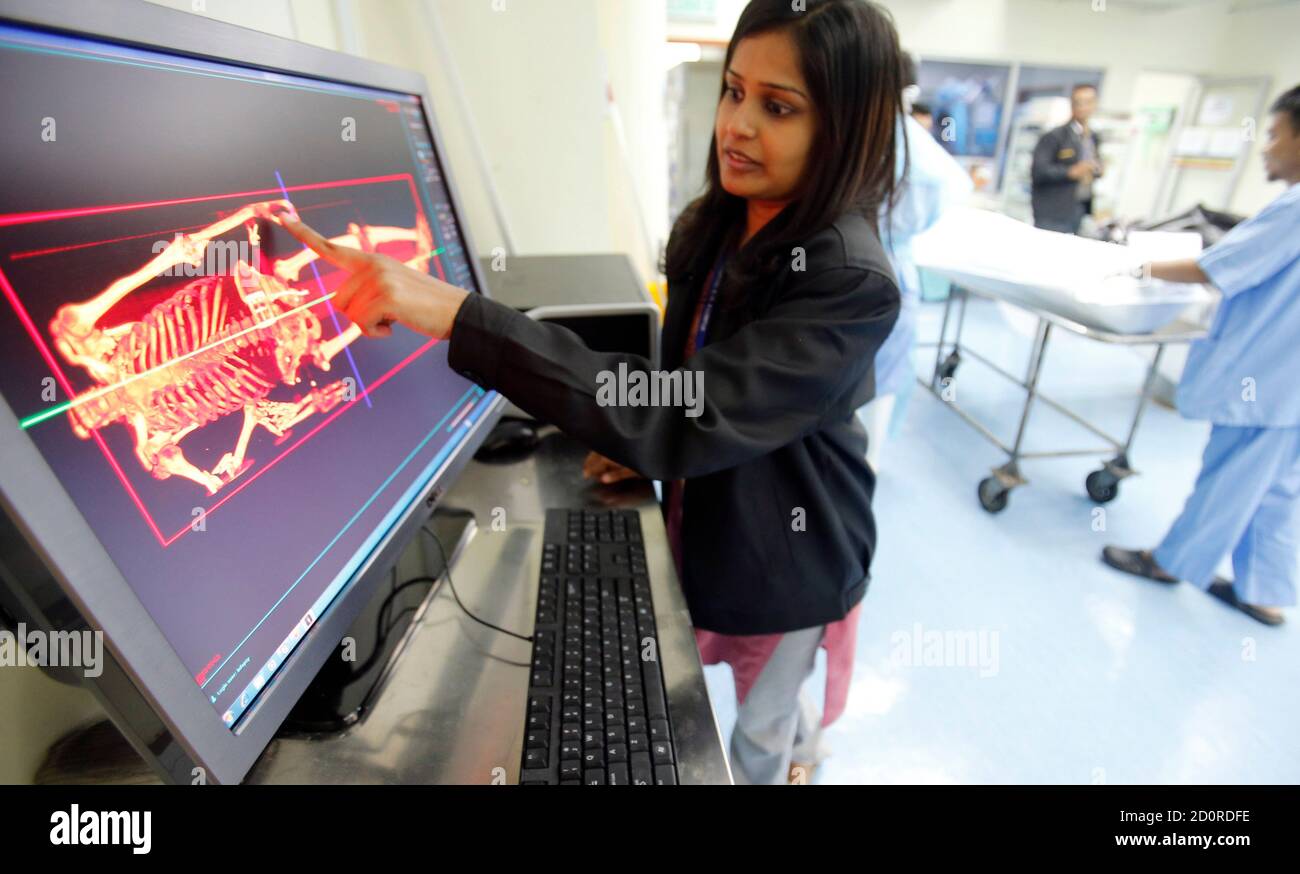 3d X Ray Woman Body Skeleton High Resolution Stock Photography and ...