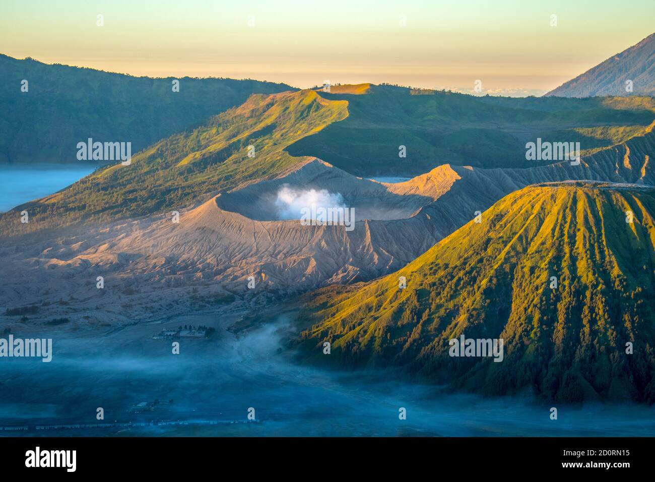 Kingkonghill hi-res stock photography and images - Alamy