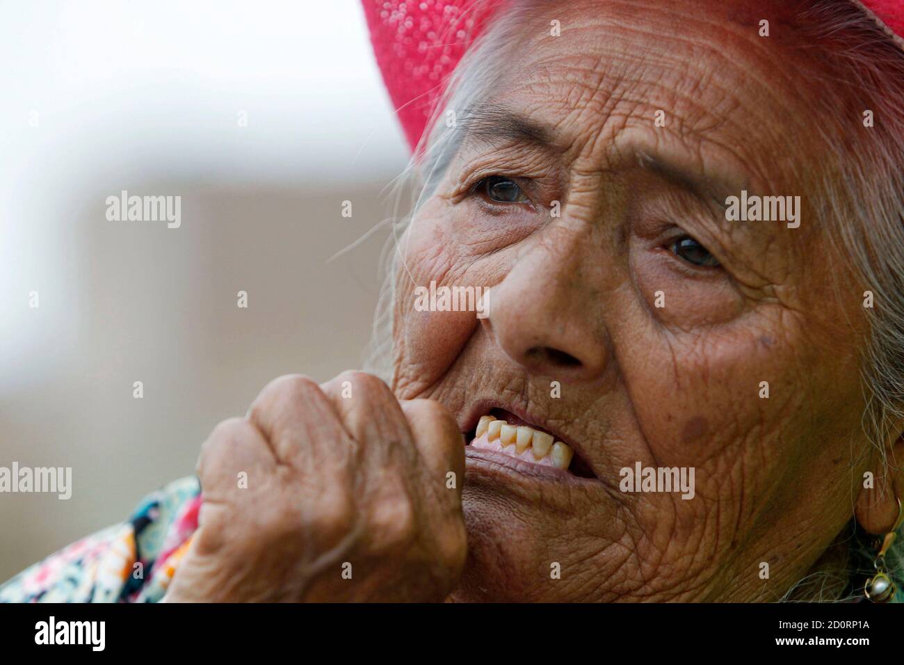 Sacrifice ceremony peru hi-res stock photography and images - Alamy