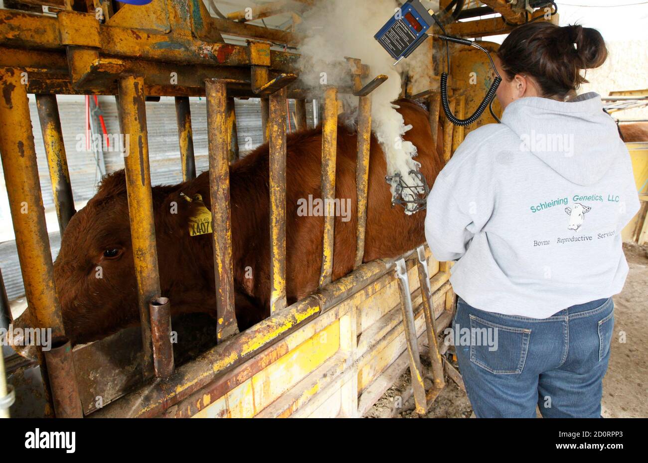 Cattle rustlers old west hi-res stock photography and images - Alamy