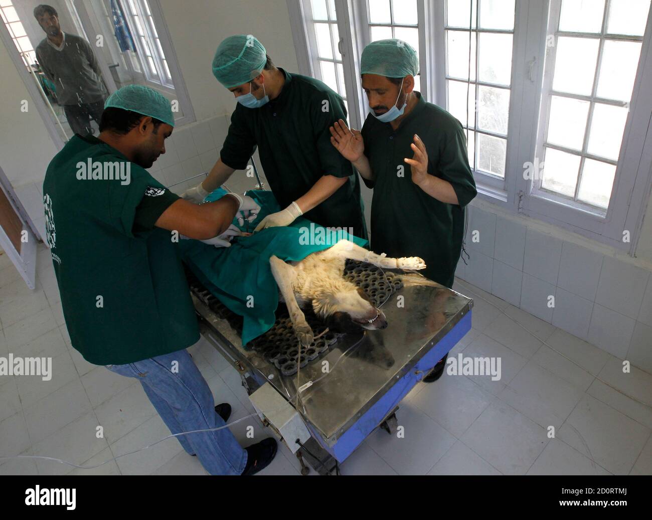 Sterilization process hi-res stock photography and images - Alamy