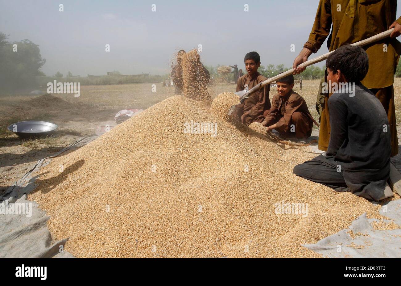 Afghan Farmers High Resolution Stock Photography and Images - Alamy