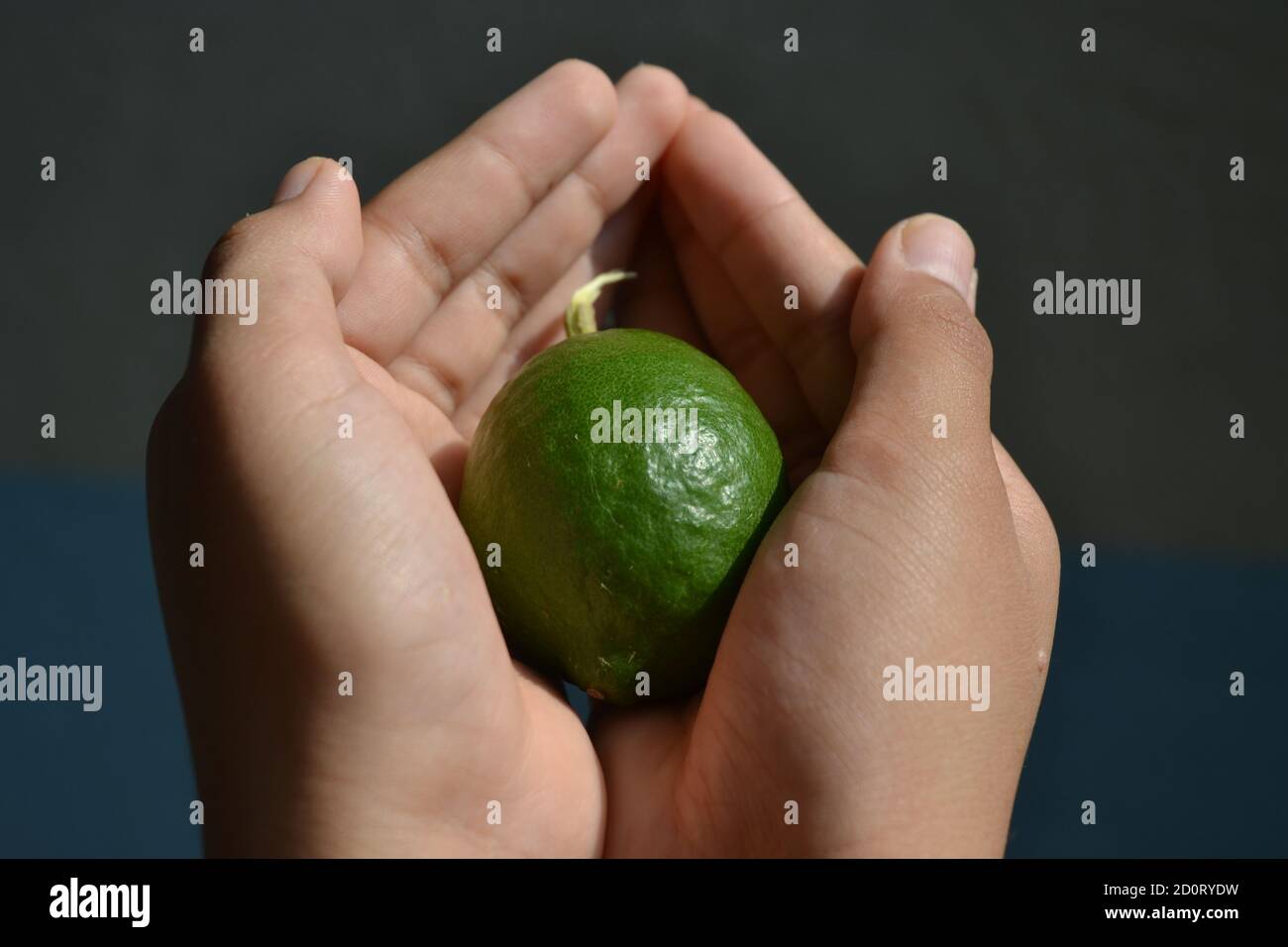 Green lemon in human hand Stock Photo - Alamy