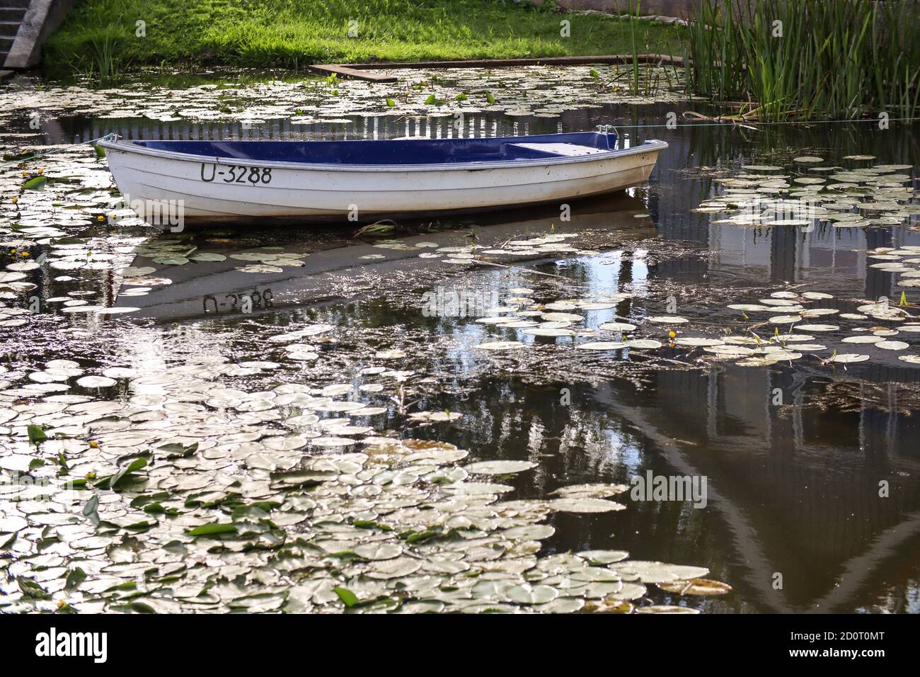 Little boat in a swamp Stock Photo - Alamy