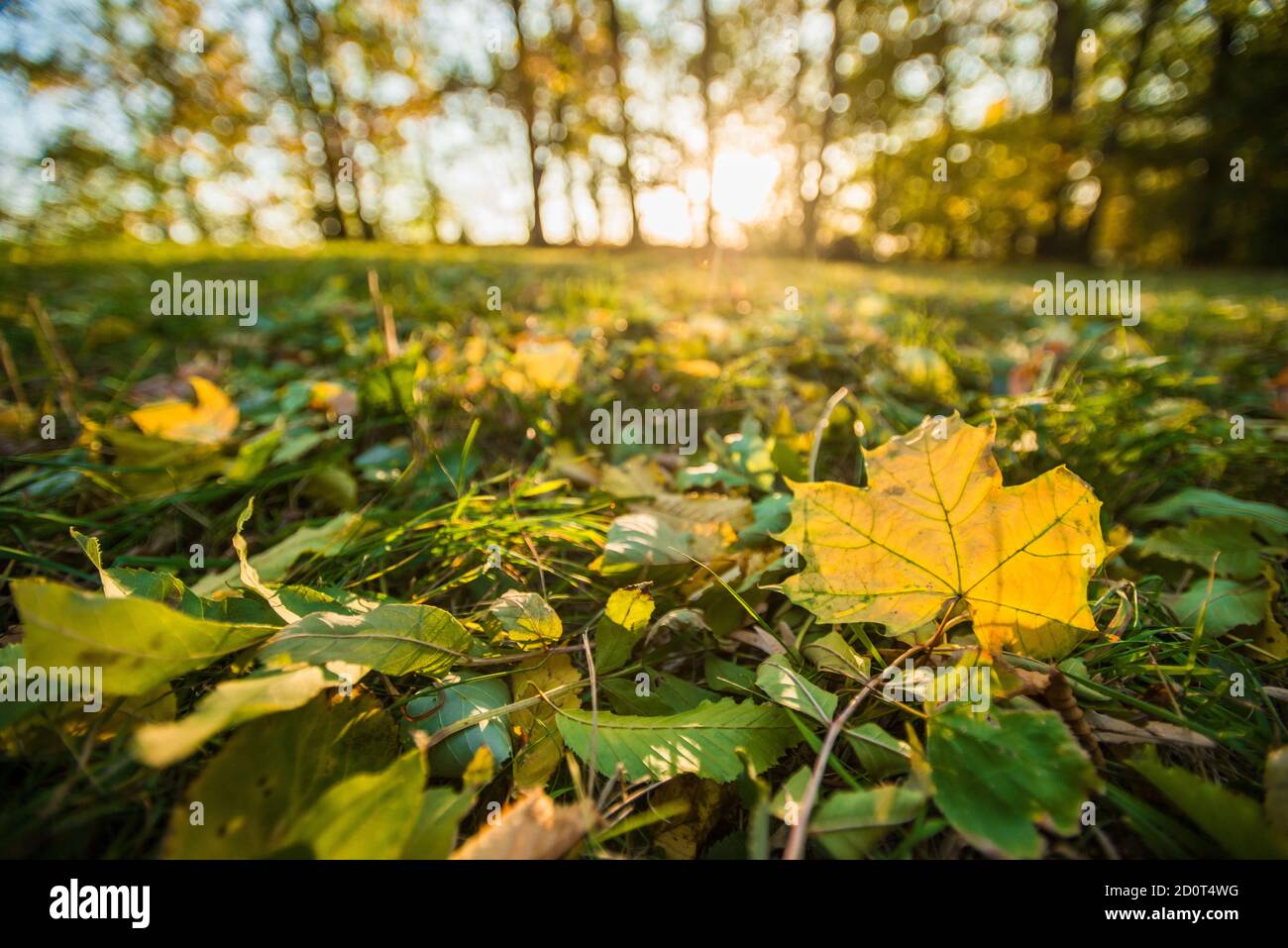 Autumn in Germany Stock Photo - Alamy