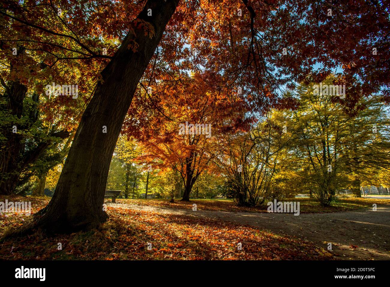 Autumn in Germany Stock Photo - Alamy