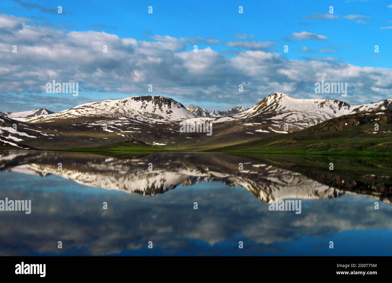 Deosai national park hi-res stock photography and images - Alamy