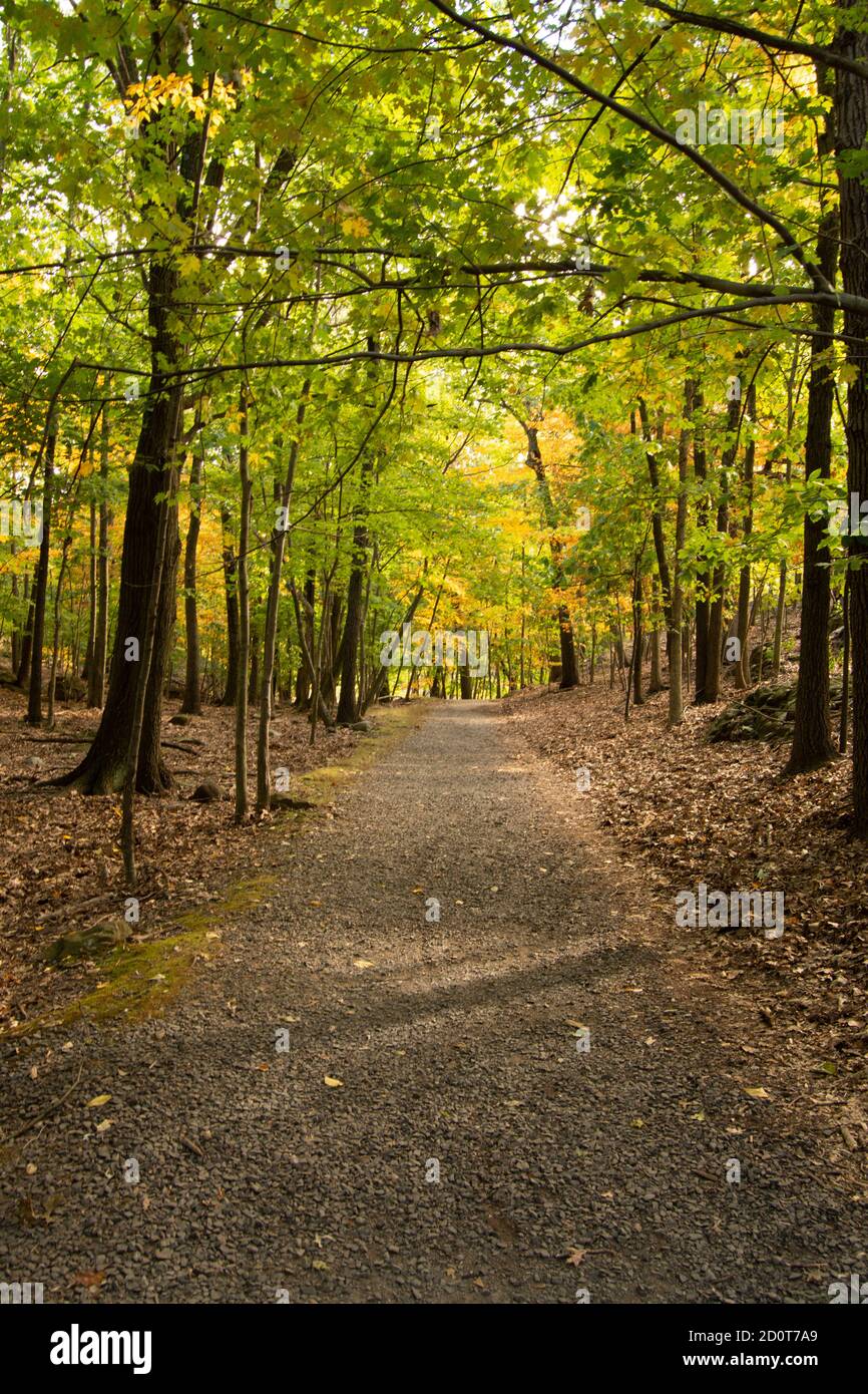 Beautiful shot footpath along hi-res stock photography and images - Alamy