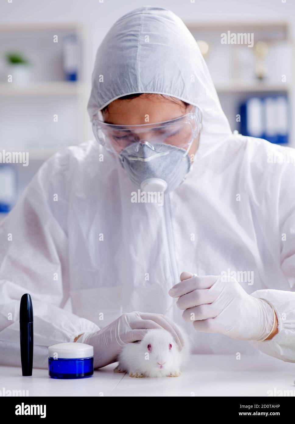 The scientist doing animal experiment in lab with rabbit Stock Photo ...
