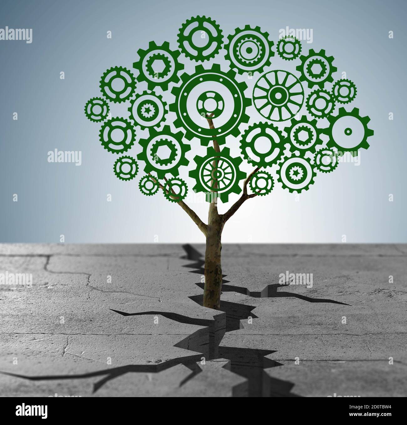 The cogwheel tree growing through soil crack Stock Photo - Alamy