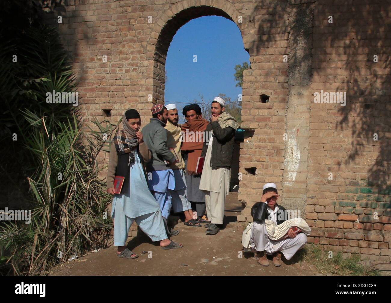 Ashrafia hi-res stock photography and images - Alamy