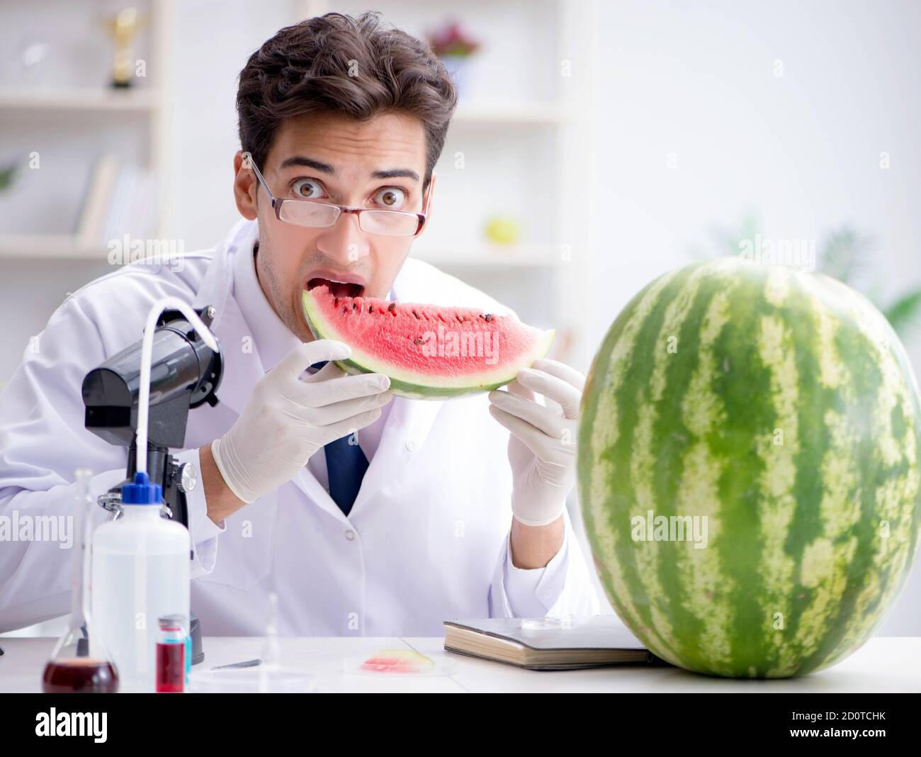 The scientist testing watermelon in lab Stock Photo - Alamy