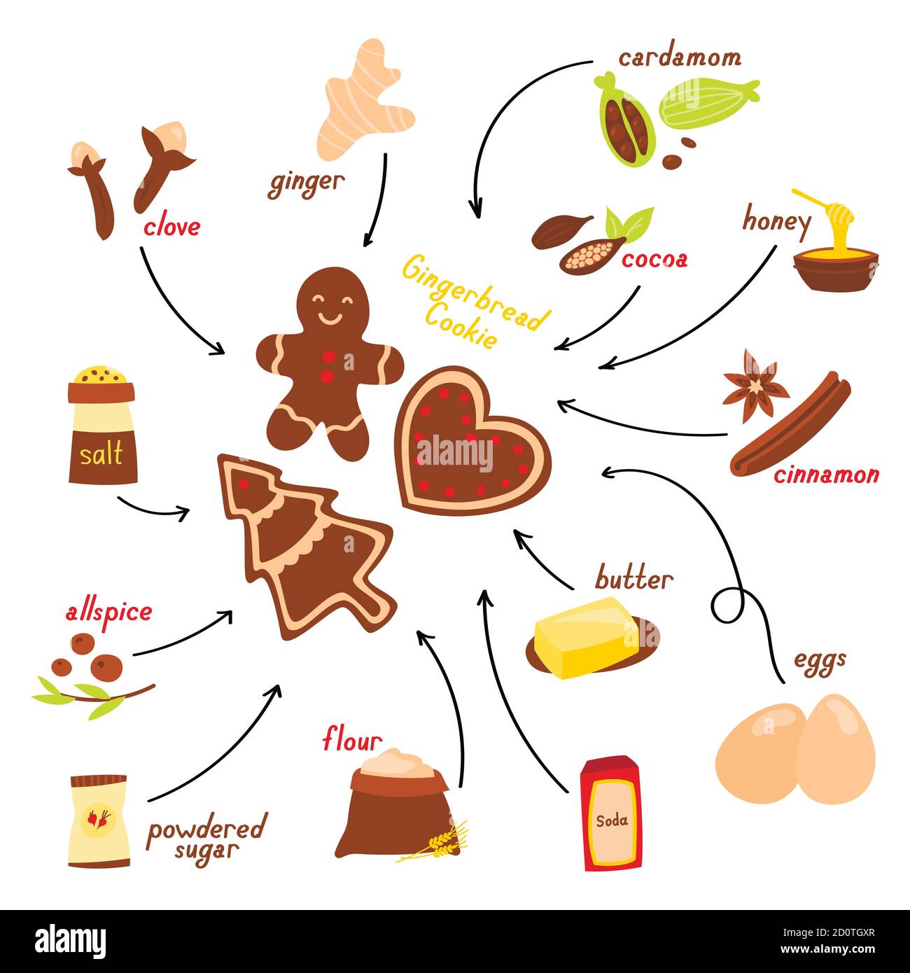 Recipe for making gingerbread cookie in English, vector illustration on ...