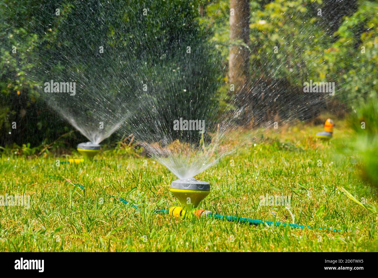 Spraying water on green lawn Stock Photo - Alamy