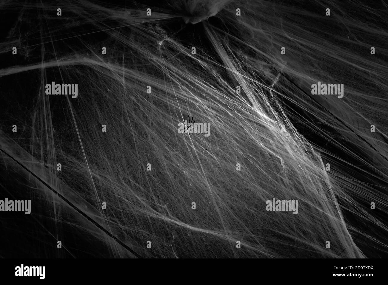 Old dusty spider web Black and White Stock Photos & Images - Alamy