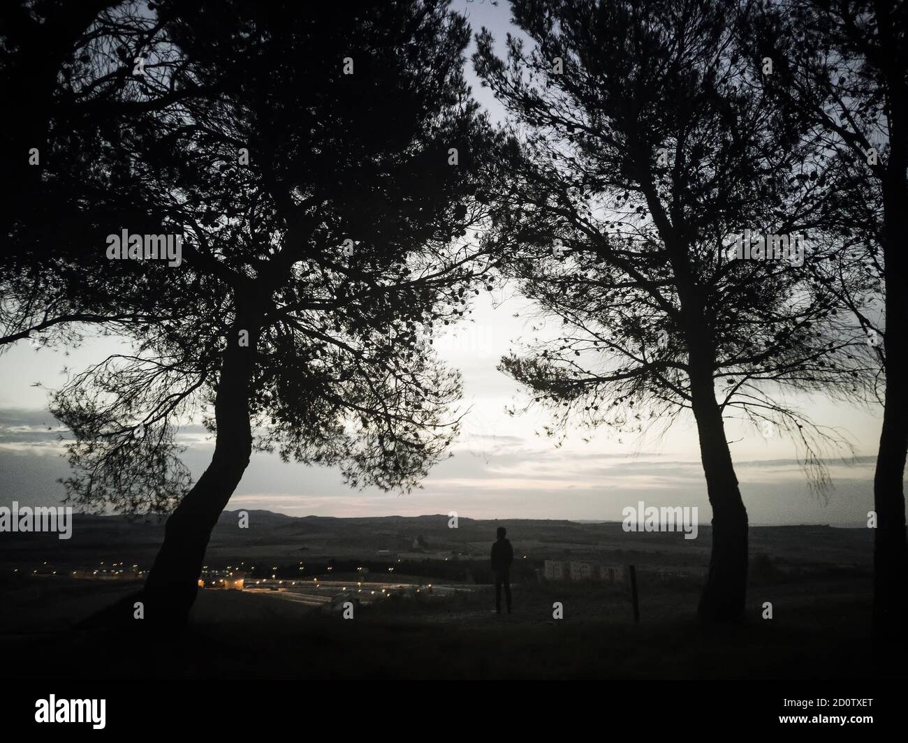 Lonely man in forest, natural landscape and loneliness, environment ...