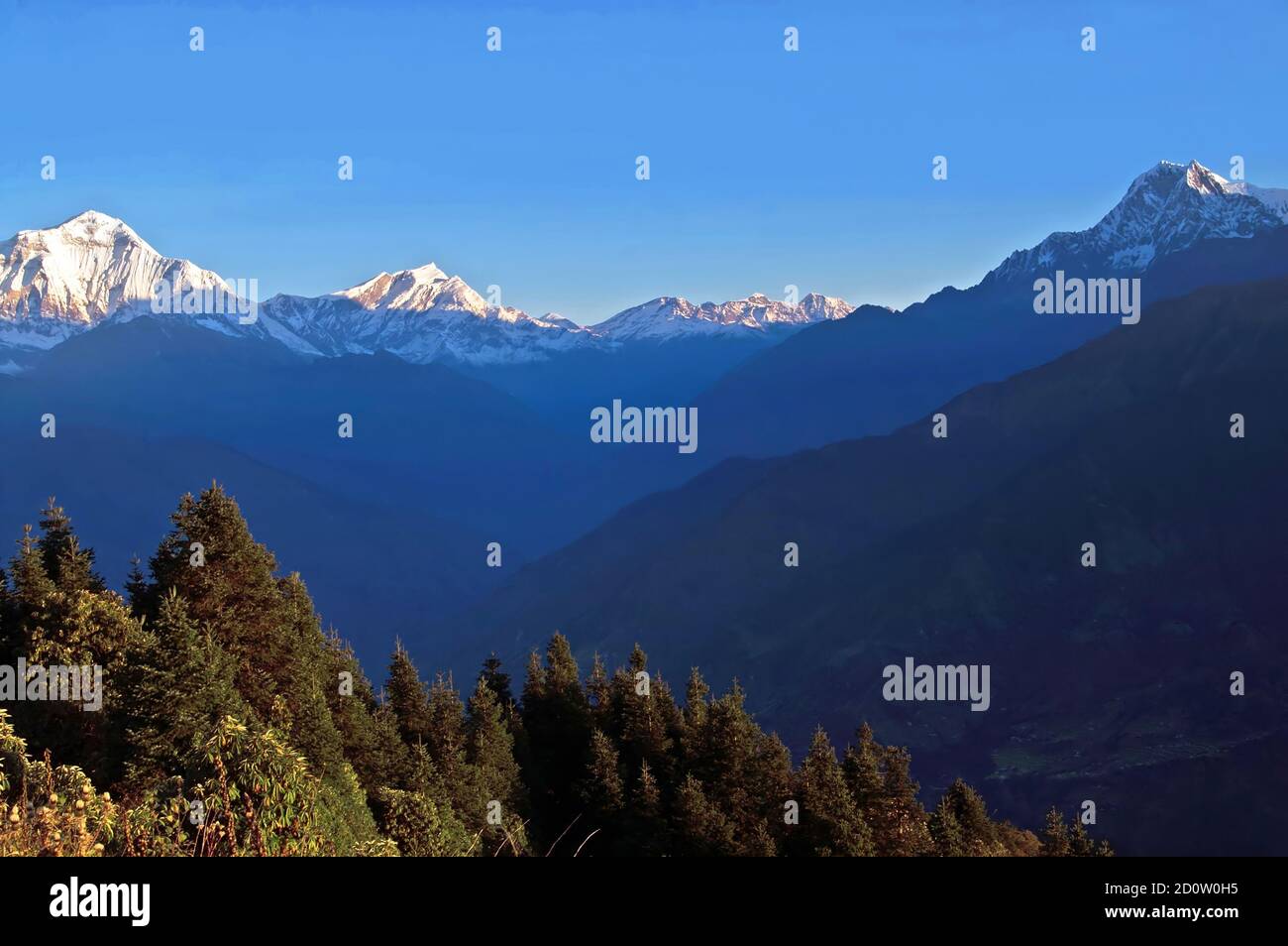 Panorama view of the majestic of himalayan mountain range during ...