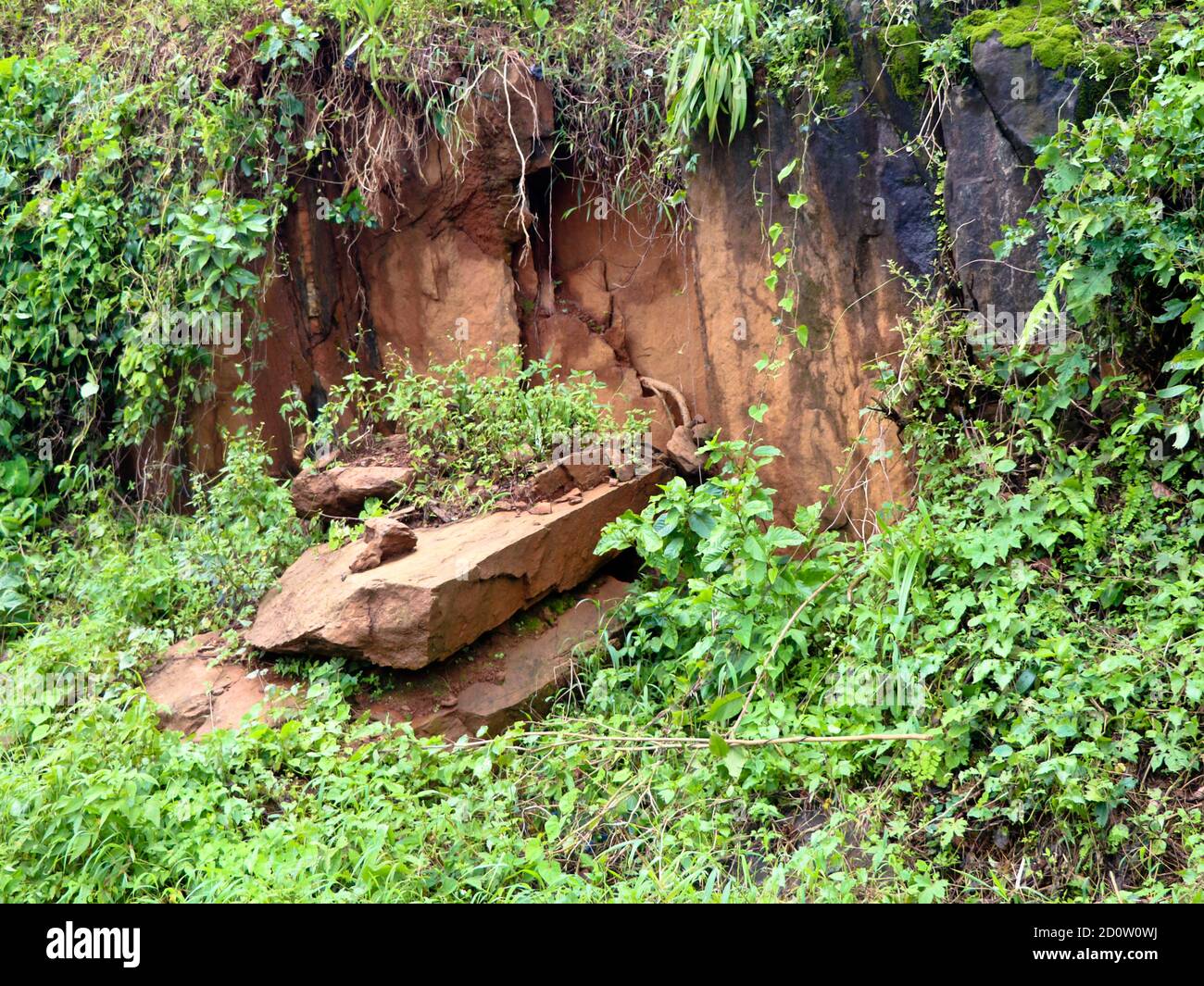 Rock broken into pieces as part of landslide in the eco sensitive area ...
