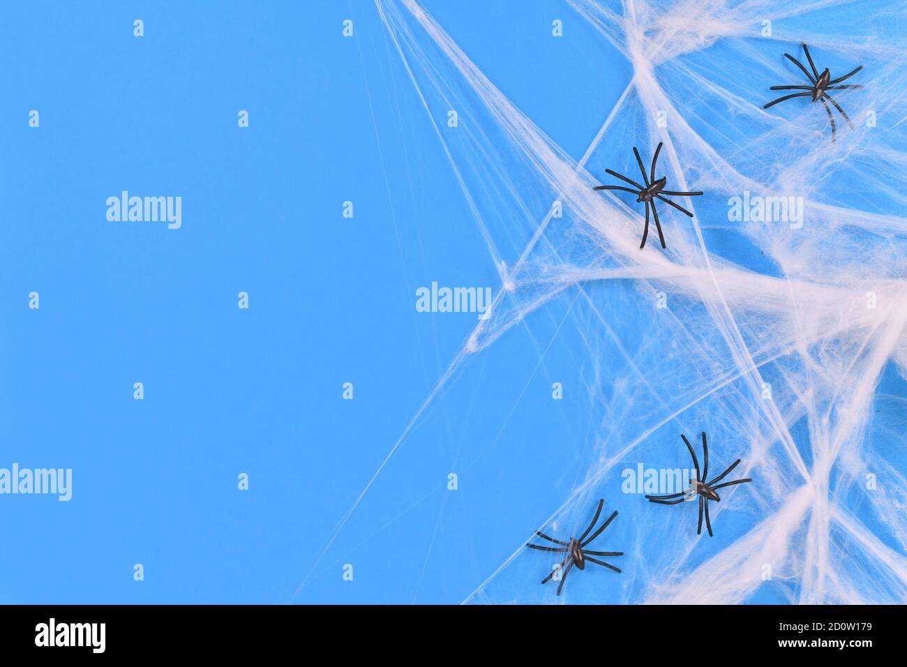 Cobwebs and plastic spiders on side of blue Halloween background with ...