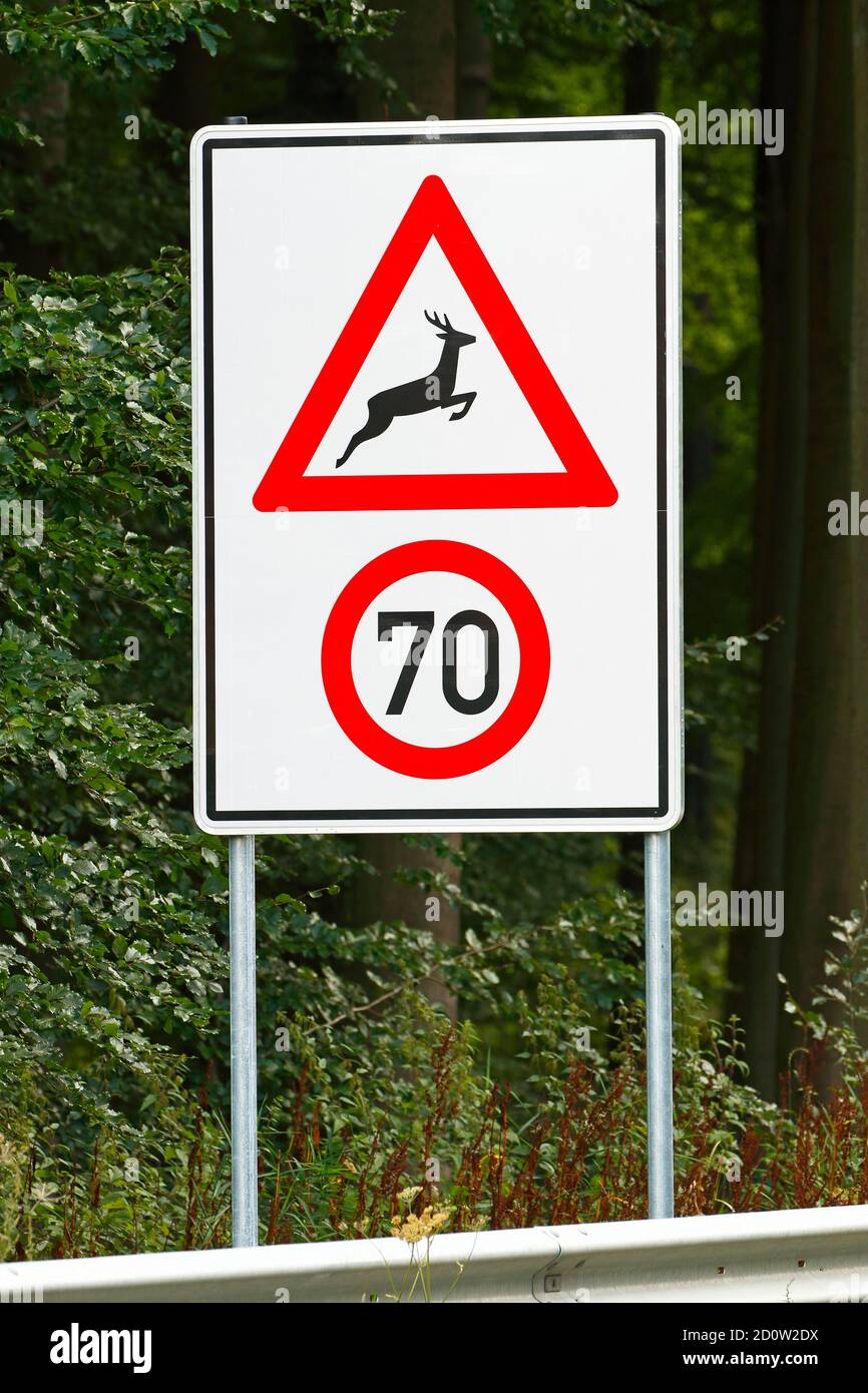 Traffic sign deer crossing hi-res stock photography and images - Alamy