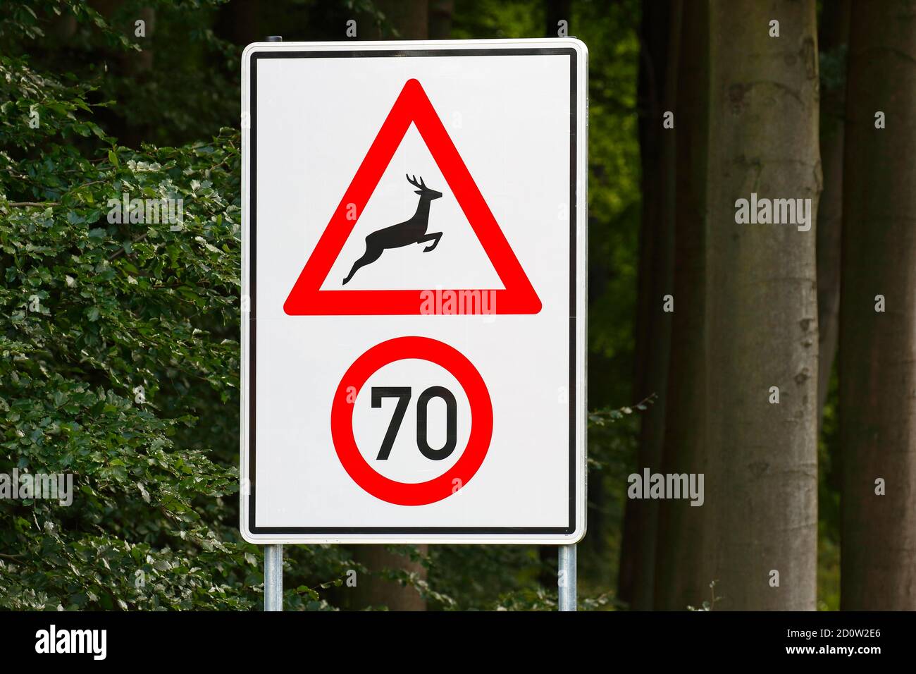 Deer traffic sign hi-res stock photography and images - Alamy