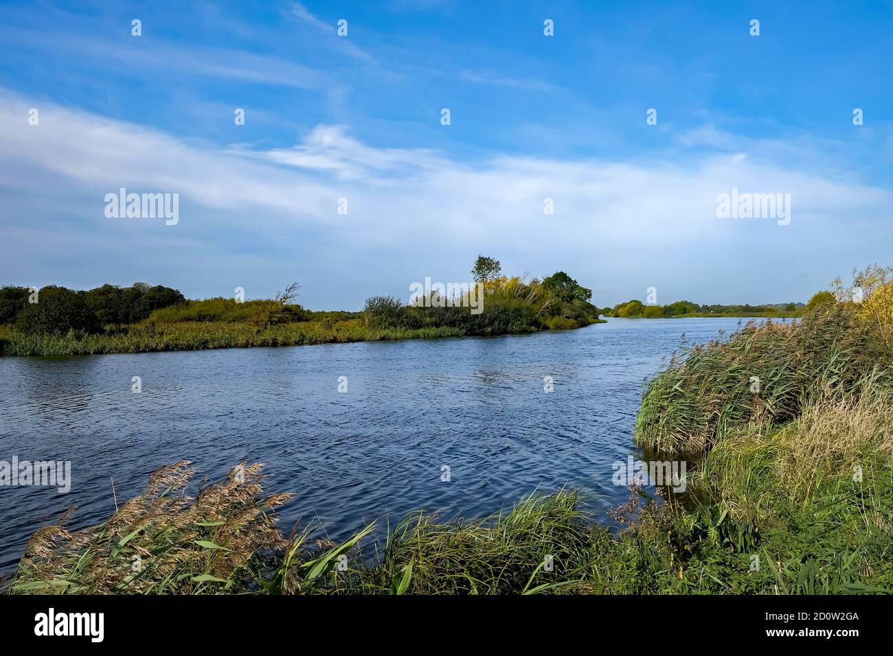 A windy and sunny day on the River Yare in RSPB Strumpshaw Fen Nature ...