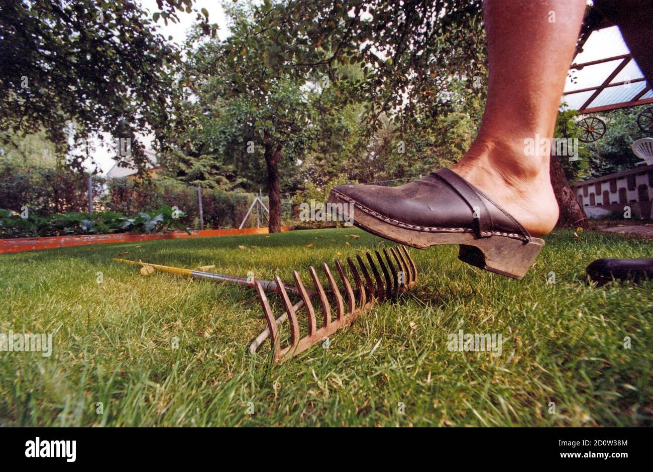 Misfortune, man steps on a rake, Berlin, Germany, Europe Stock Photo ...