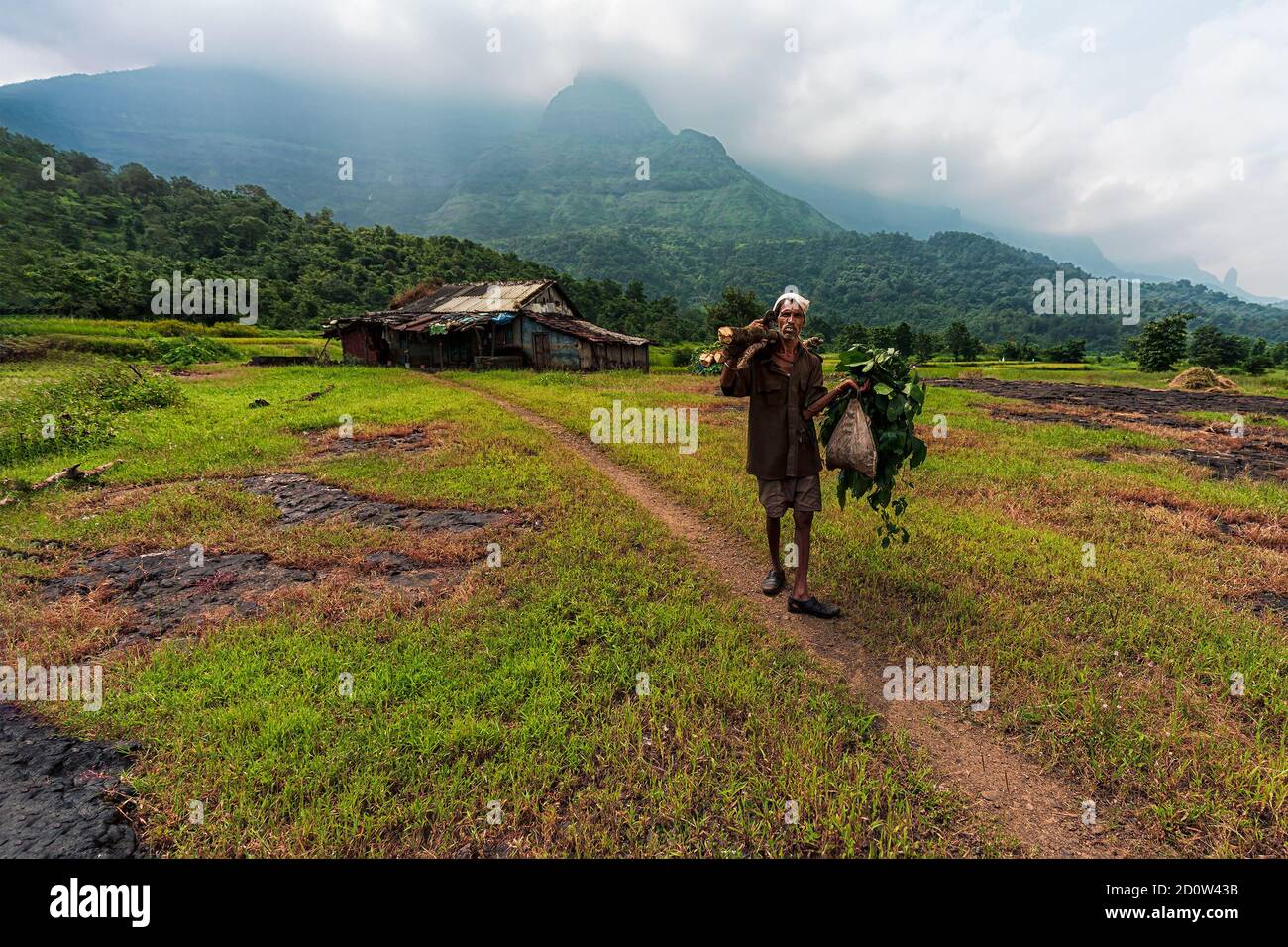 Scene of Rural India, Landscape Stock Photo - Alamy