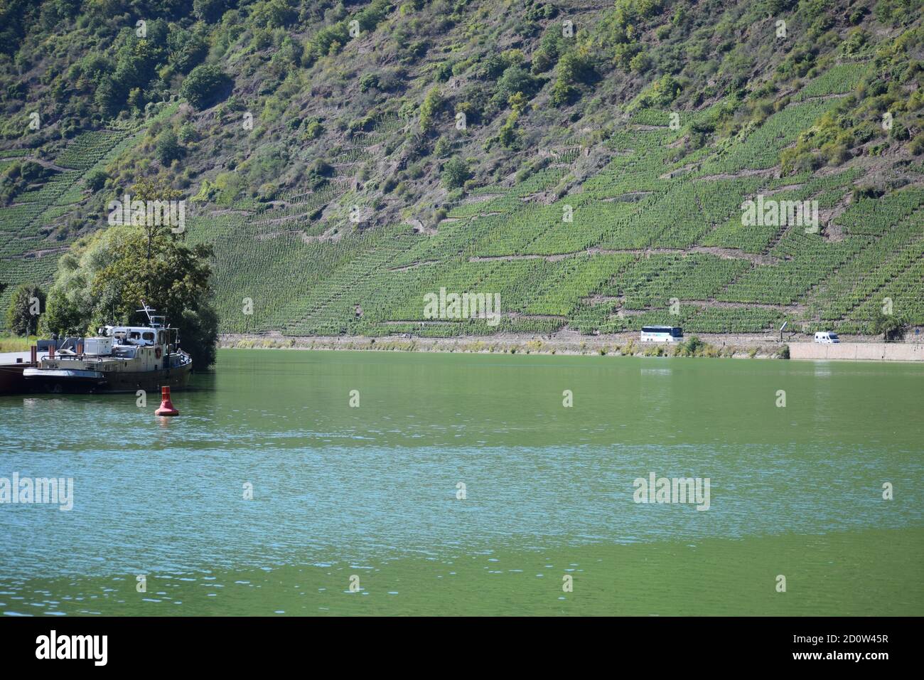 vineyards near Briedern Stock Photo - Alamy