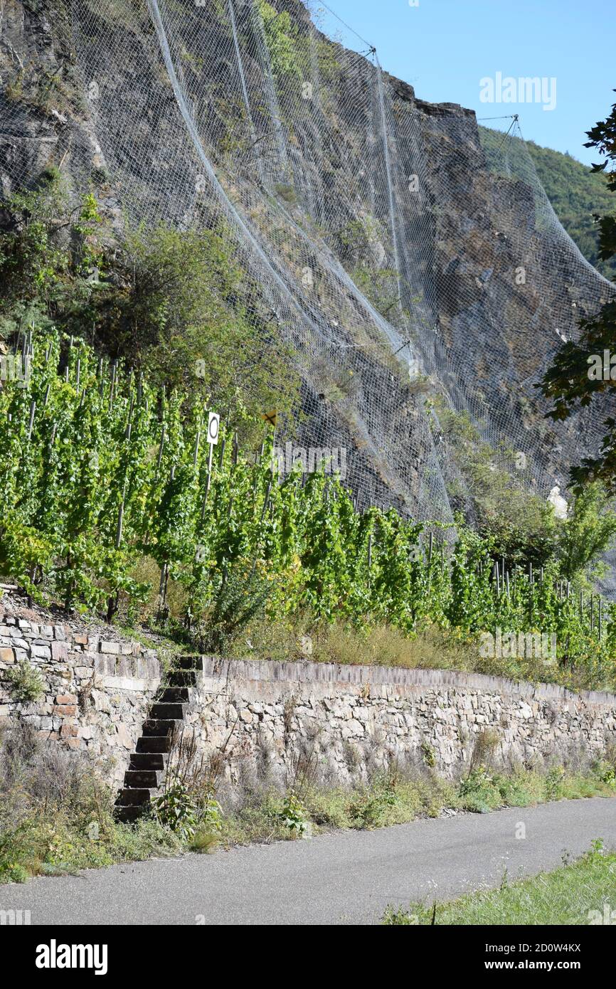 Briedern hi-res stock photography and images - Alamy