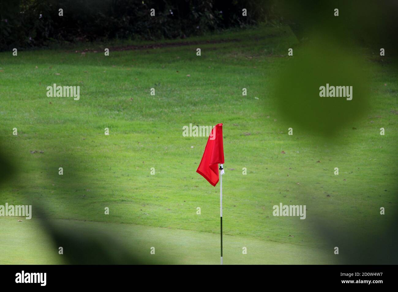 A photograph of a red flag on a golf course, framed by out of focus ...